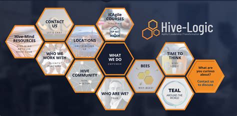 Welcome To Hive Logic Hive Logic
