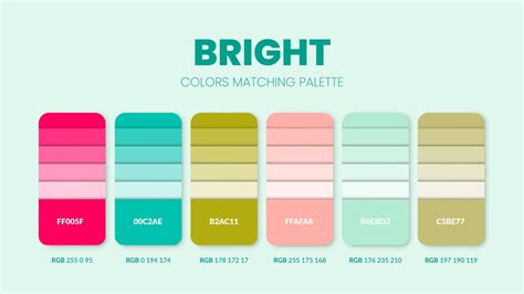 Bright Color Palettes Or Color Schemes Are Trends Combinations And