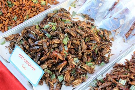 Eating Insects And Other Fun At Chiang Mais Sunday Night Market