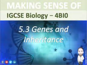 IGCSE Genes And Inheritance