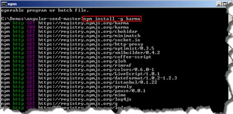 Setting Up Angularjs Angular Seed Nodejs And Karma Bardev Archive