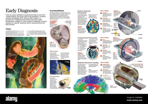Infographic Of The Principal Diagnostic Methods Used In Medicine To