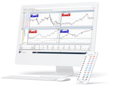Mt4 플랫폼 Mt4 거래 플랫폼 Doo Prime 글로벌 트레이딩 파트너