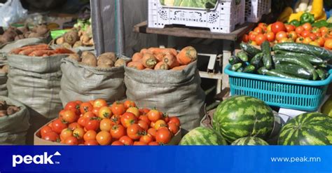 “Намрын ногоон өдрүүд” энэ сарын 26 хүртэл үргэлжилнэ Peak News