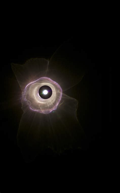 Exploding Star Image Journal