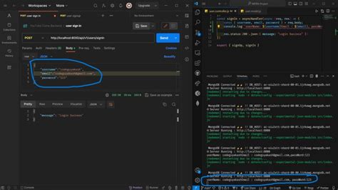 Created My First Api With Expressjs Akash Codeguyakash Posted On