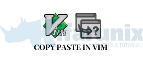How To Copy Paste Lines In Vim