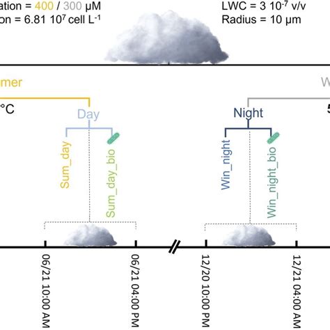 Conditions Of The Different Simulations Chemical Scenarios