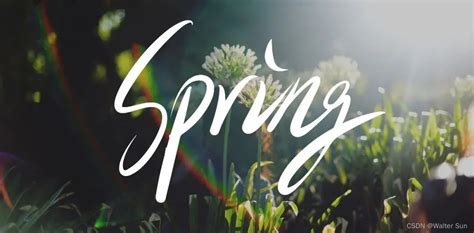 选择 Guava Eventbus 还是 Spring Framework Applicationeventguava Eventbus