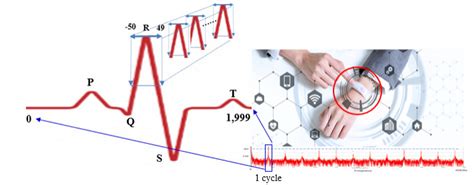Bio Metric Authentication With Electrocardiogram Ecg By Considering Variable Signals