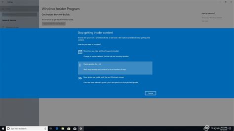 Microsoft Windows 10 V1903 100182621000 The Collection Book