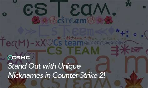 Unique And Unusual Nicknames For Cs2 And Steam