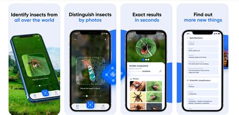 The Best Bug Identifier Apps For Android IPhone Appuals