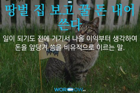 속담 땅벌 집 보고 꿀 돈 내어 쓴다