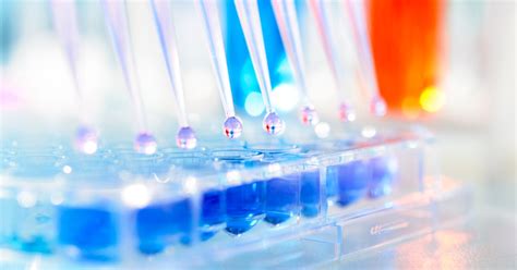 Microbiology Testing Sgs Usa