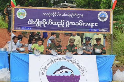 သထုံမြို့နယ် ဒုံသမိမြစ်အတွင်း ငါးသားပေါက်ကောင်ရေ နှစ်သိန်း ငါးမျိုးစိုက်ထည့် Information And