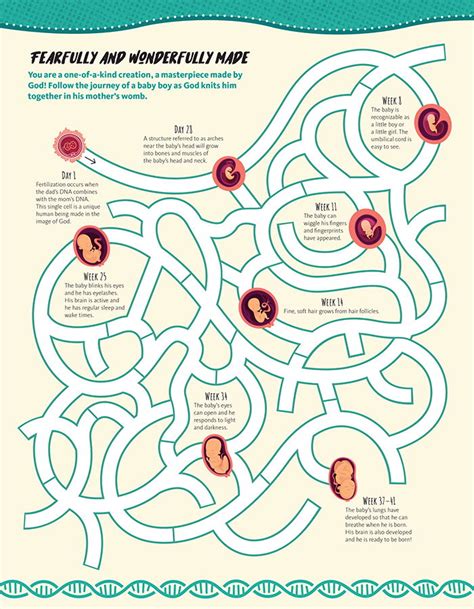 Fearfully And Wonderfully Made