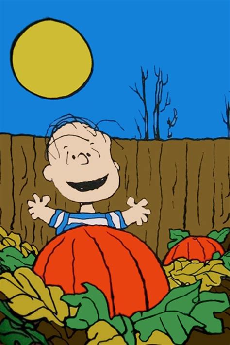 Peanuts Double Sided Flag Linus In Pumpkin Patch Halloween