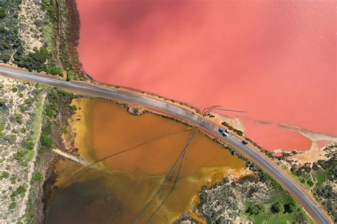 Aerial View Of Vibrant Hutt Lagoon Pink License Image 14528431