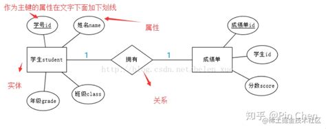 Contact Must Be Clear In The Database Entities Database Tutorial 2 Database Entity