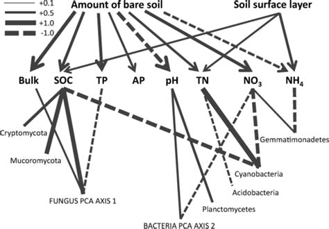 Path Diagram Showing How Changes In Amount Of Bare Soil Percent And Download Scientific