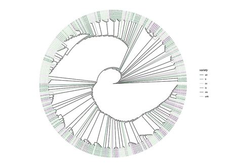 Ggtree Add Location Using Geomcladelab Tidyverse Posit Community