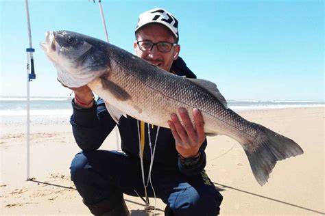Pesca De La Lubina En Playa Pesca Información