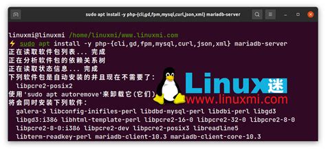 如何在 Ubuntu LTS 上安装 LighttpdPHP 和 MariaDB Linux迷