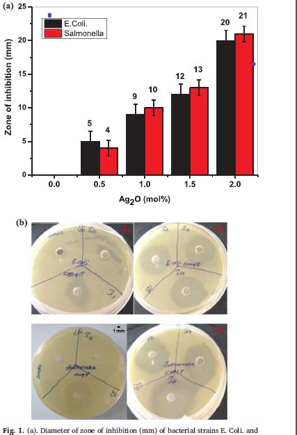 Pdf Ag2o Doped Bioactive Glasses An Investigation On The Antibacterial Optical Structural