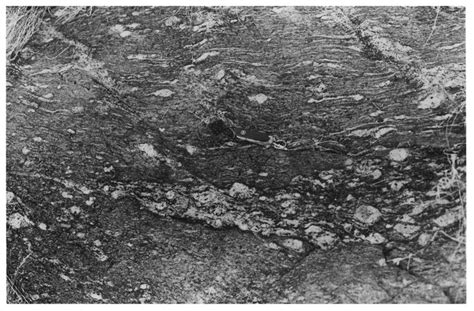 Lens Of Post Fand Iikwcrystlc Granitoid Intrusive Into More Highly Download Scientific Diagram