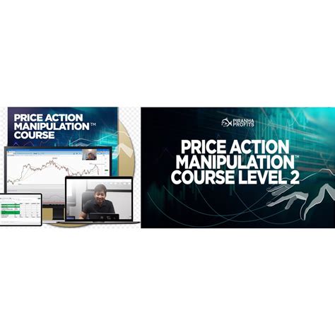 Piranha Profits Price Action Manipulation Level 1 And Level 2 Xspy Trader Alson Chew Shopee
