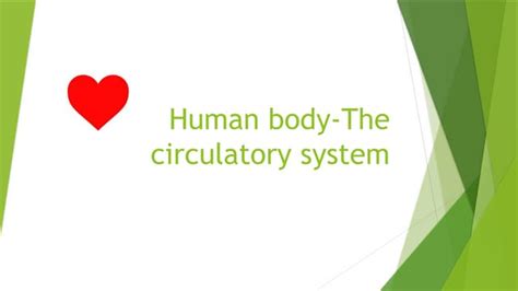 Human Body The Circulatory System Schoolpptx