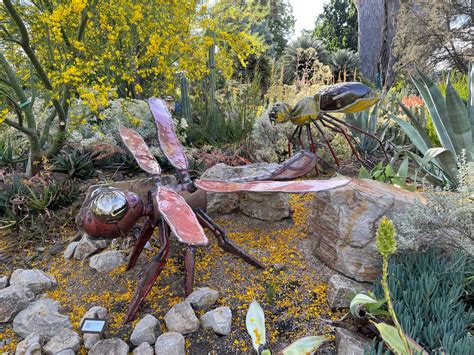 Ruth Bancrofts Beautiful Cactus Garden Gets Surreal Sculptures In