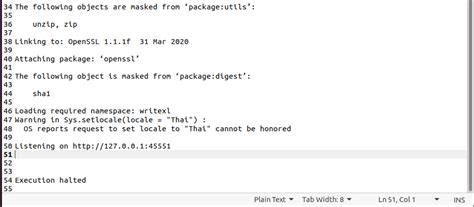 Shiny Server Execution Halted Before Finish Running Shiny Posit