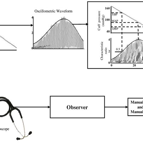 Schematic Representation Of BP Measurement On A Subject Download Scientific Diagram