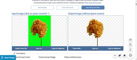 4 Easy Methods To Remove Green Screen Enjoy Flawless Visuals