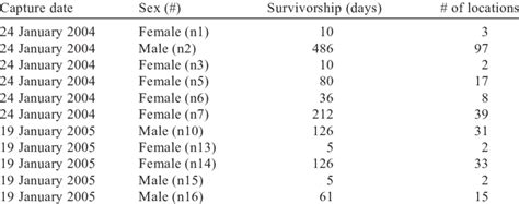 Capture Date Sex Identifi Cation Survivorship And Number Of Download Table