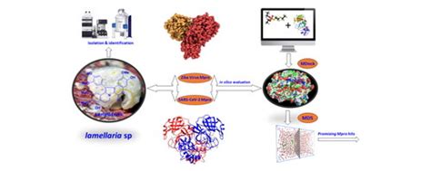 Journal Of Biomolecular Structure And Dynamics Vol 42 No 8 Current Issue