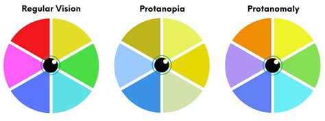 Types Of Color Blindness