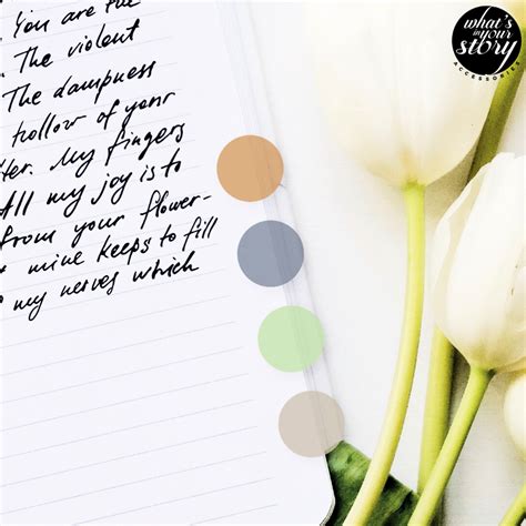 Buy Circle Sticky Notes Book Online From Whats In Your Story