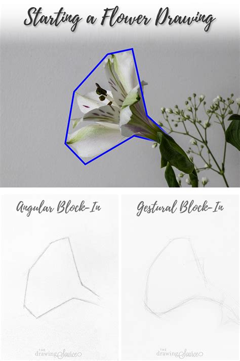 How To Draw A Flower