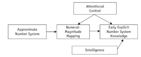 Overview Of Essential Concepts Of Cognitive Structure And Functions Of Download Scientific