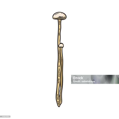 벡터 일러스트 레이 션 와 두 개의 신선한 팽이 버섯 와 손으로 그린 컬러 스케치의 형태로 개체 그룹에 대한 스톡 벡터 아트 및 기타 이미지 Istock