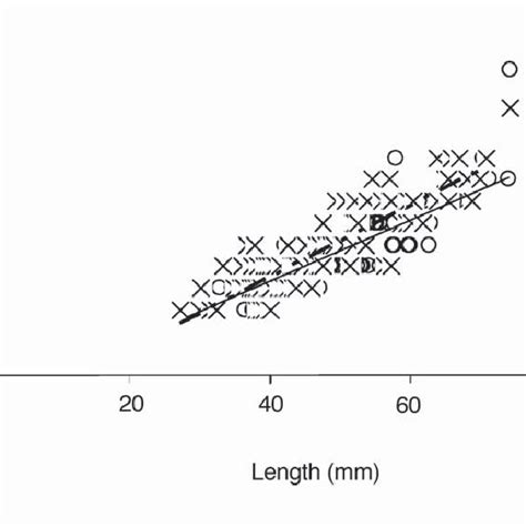 Length At Age Functions For Female R 2 074 And Male Dashed Line
