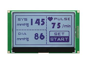 Monochrome Display Monochrome LCD Display Module Raystar