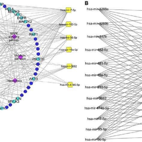 Flow Chart Flow Chart Depicting Steps Of Data Analysis Performed Download Scientific Diagram