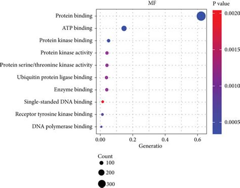 Potential Gene Annotations And Prospective Pathways Of Arnt2 Related