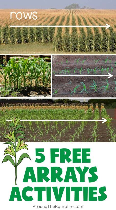 5 Free Arrays Activities You Can Use Tomorrow Around The Kampfire