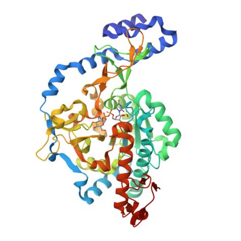 Rcsb Pdb 8yp3 Crystal Structure Of Udp N Acetylglucosamine Pyrophosphorylase From Spodoptera