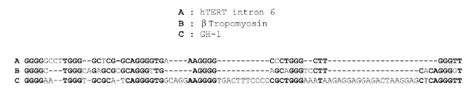 G Quadruplexes And Rna Sequence Alignment Of The G Repeats From The Download Scientific